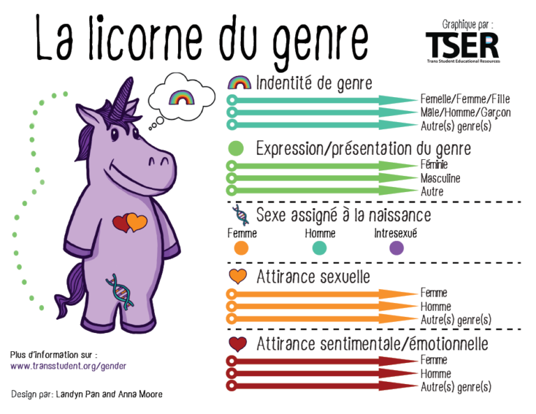 Définitions de stéréotype de genre, discrimination, inclusion et d ...